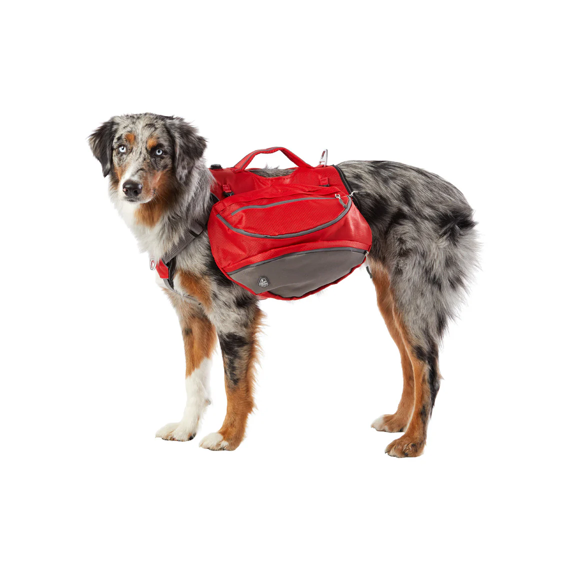 Arcadia Trail Backpack Harness - Arcadia Trail